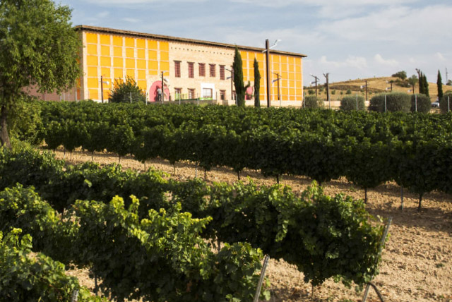 Winery Rueda | Pagos del Rey